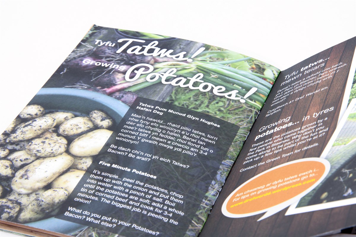 Portfolio | Dref Werdd